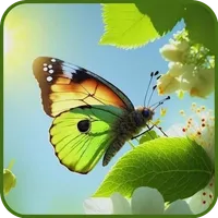 Insects Wallpapers APK for Android Download