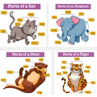 AppRecs - Pictures Of Animals And Their Body Parts Flashcard